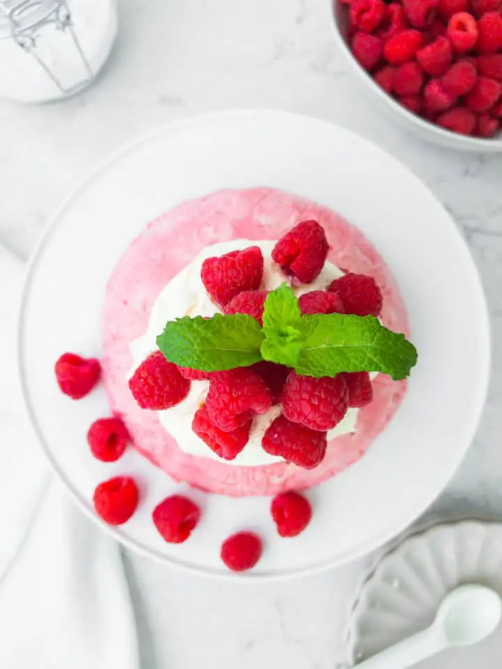 Raspberry Ice Cream Bombe - Together to Eat - Family Meals