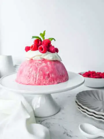 Raspberry Ice Cream Bombe - Together to Eat - Family Meals
